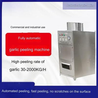 China Volledig automatische groentenpelmachine voor knoflook en ui 30-300 kg/uur Te koop