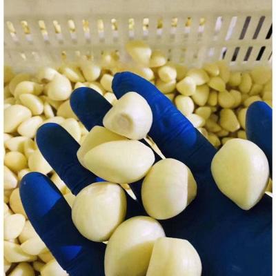 China Volledig automatische groentenpelmachine voor knoflook en ui 30-300 kg/uur Te koop