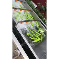 China Fully Automatic Industrial Fruit Vegetable Bubble Washing Machine for Processing Plant for sale