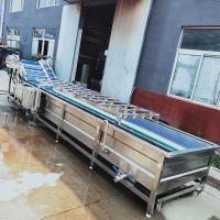 China Commercial Catering Bubble Fruit Vegetable Washer Machine for Advanced Processing Line for sale