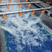 China Commercial Catering Bubble Fruit Vegetable Washer Machine for Advanced Processing Line for sale