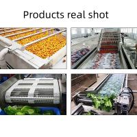China Commercial Catering Bubble Fruit Vegetable Washer Machine for Advanced Processing Line for sale