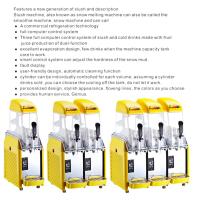 China Smoothie Machine with Double-Cylinder Snow Melting Function and 12L*2 Hopper Volume for sale
