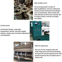 China Customized Automatic Temperature Control Sesame Oil Press for Oil Making from Peanuts for sale