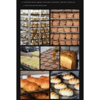 China Affordable Pizza Rotary Oven Machine for Bakery Shop Function Bread Bakery Line Machine for sale