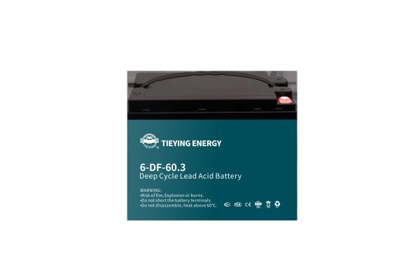 Quality CE SDS Rechargeable 6-DF-60 Lead Acid Batteries For Sale 60Ah Electric Tricycle for sale