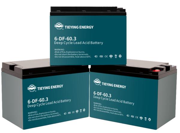 Quality CE SDS Rechargeable 6-DF-60 Lead Acid Batteries For Sale 60Ah Electric Tricycle for sale