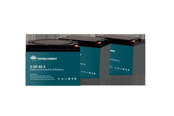 Quality CE SDS Rechargeable 6-DF-60 Lead Acid Batteries For Sale 60Ah Electric Tricycle for sale