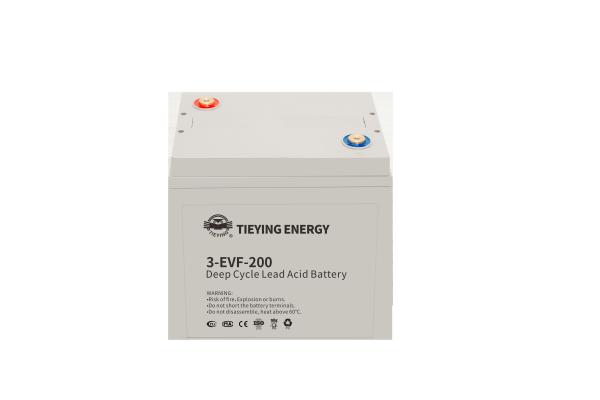 Quality 12V 200Ah Storage Lead Acid Golf Cart Batteries 3-EVF-220 33+-0.5kg for sale