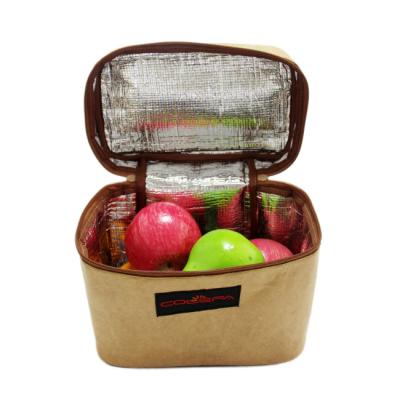 China Waterproof Thermal Cooler Lunch Bag Reusable Washable With Custom Logo for sale