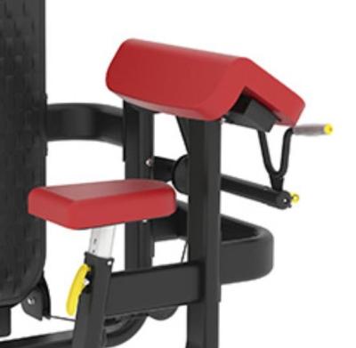Cina Biceps Trainer Arm Trainer Commercial Gym Equipments in vendita