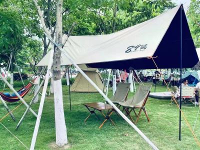 China Outdoor Portable Camping Car Side Hexagonal Waterproof Sunshade Rain Fly Tent Shelter Hammock Tarp Camping Tarp for sale