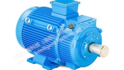 China High Power Performance High Accuracy 1910Nm AC Dynamometer for sale