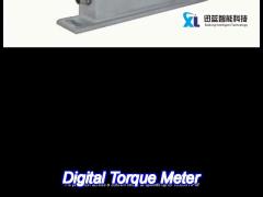 high accuracy and maintenance free 300nm 10000 rpm digital torque sensor