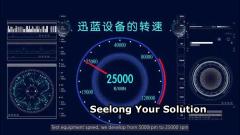 Seelong Company Introduction