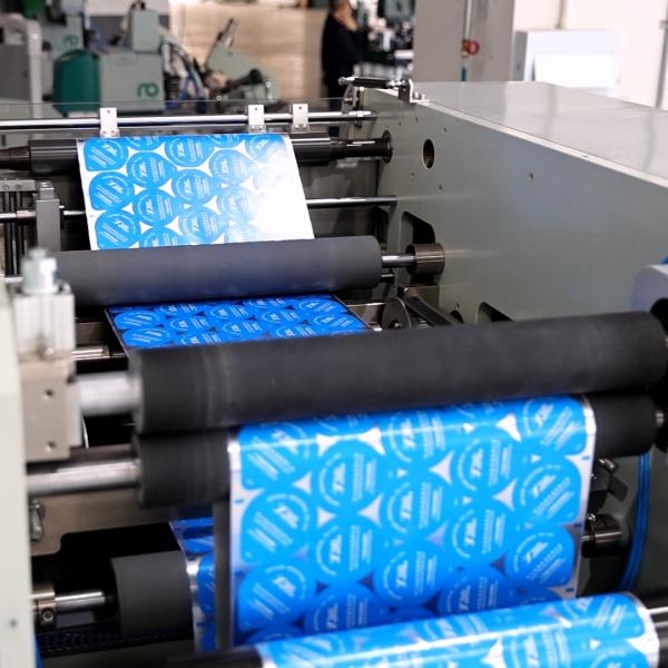Quality Automatic Cup Lid Die Cutting Machine CC450-S Features Multi-Axis Servo Control for sale