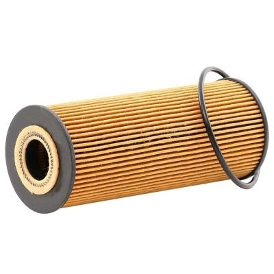 Cina GOLF IV 1J1 Motore di auto Eco filtro dell'olio 038 115 466 0381515466 074115562 38115466 Filtro in bombole per autoveicoli in vendita