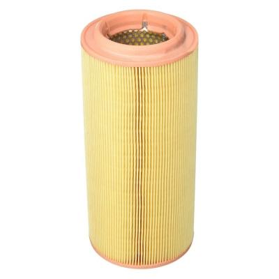 China High Quality Auto Parts Car Air Filter element 6N0129620 6N0129620A  C12107/1 for European Car for sale
