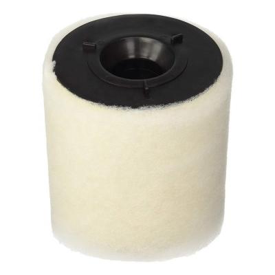 China Audi Car Fitment Auto Engine Parts Air Filter 6R0129620A for European Car C15008 for sale