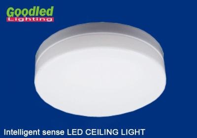 Cina Supporto intelligente 1000LM 240V della superficie delle plafoniere di Ourdoor 15W Dimmable LED in vendita