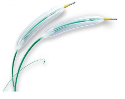 China Ptca Balloon Catheters,disposable medical for sale