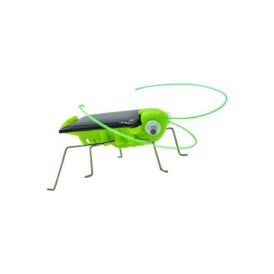 China Abs Bebê brinquedos verdes Alimentados com energia solar Insecto brinquedos ao ar livre Crianças Aprendizagem Solar Grasshopper à venda