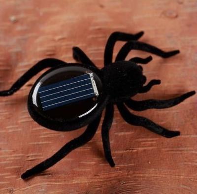 China Eco-friendly Gadgets Plastic Small Solar Toys Solar Insect Solar Spider Toys for Kids Toy for sale