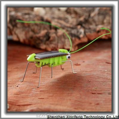 China Patent Mini Solar Grasshopper Solar Toy/baby Solar-patented Product for sale