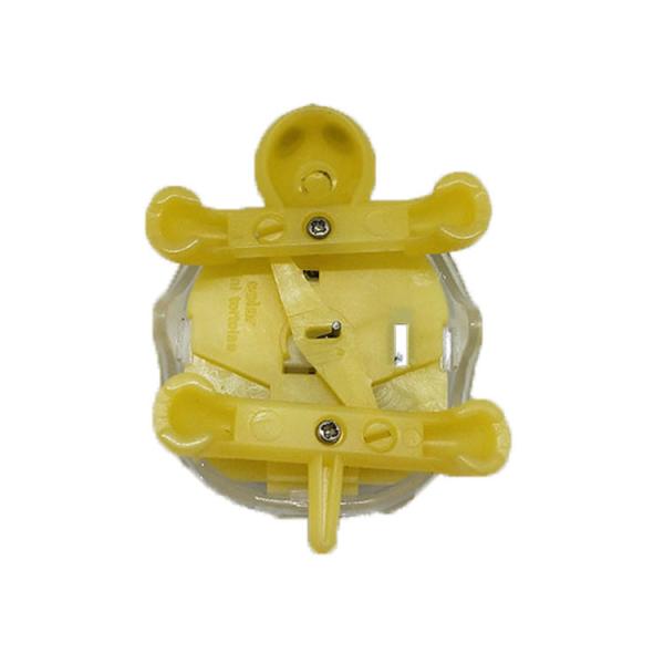 Quality Children Toys Teaching Resource Solar Powered Turtles Solar Tortoise Birthday for sale
