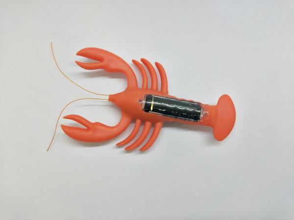 Quality Small Cute Solar Powered Animal Kids Educational Birthday Gifts Solar Lobster for sale