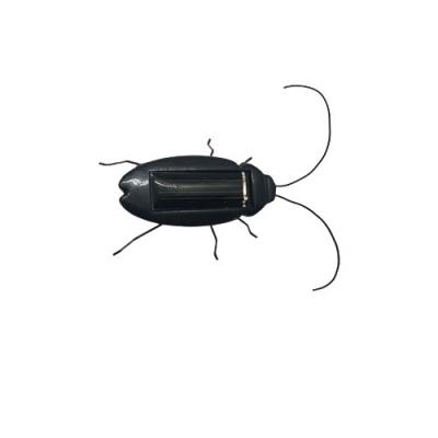 China New Creative Eco-friendly Science Education Electronic Plastic Toy Solar Cockroach Toy for sale