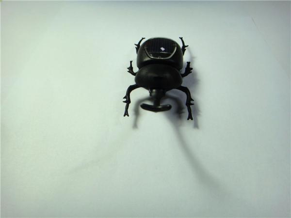 Quality Custom Design Solar Energy Toys Solar Insect Cognitive Baby Educational Beetle for sale