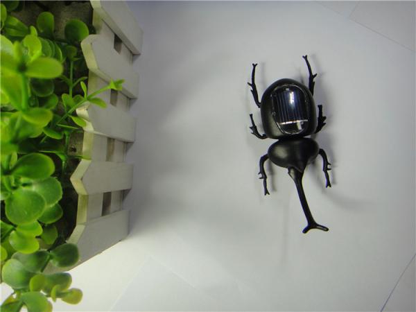 Quality Custom Design Solar Energy Toys Solar Insect Cognitive Baby Educational Beetle for sale