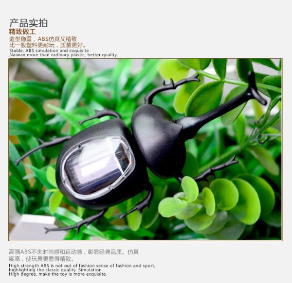 Quality Custom Design Solar Energy Toys Solar Insect Cognitive Baby Educational Beetle for sale