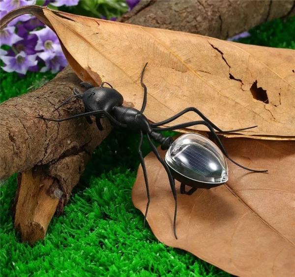 Quality Environmental Friendly Solar Ants Creative Toys Plastic Promotional for sale