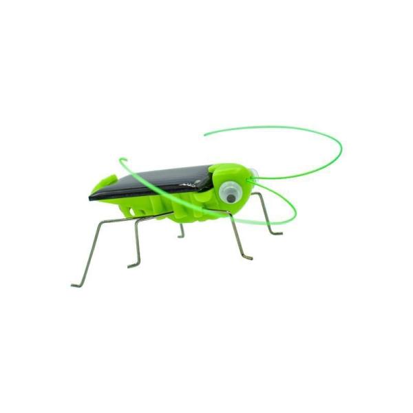 Quality Educational Mini Solar Toys Plastic Locust Solar Powered Grasshopper Customized for sale