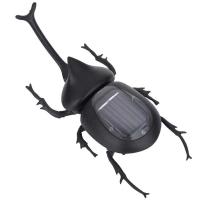 Quality Durable Compact Solar Beetle Educational Toys For Kids Learning for sale