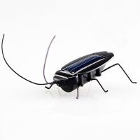 Quality Funny Solar Powered Cockroach Educational Product Toy Birthday Gift for sale