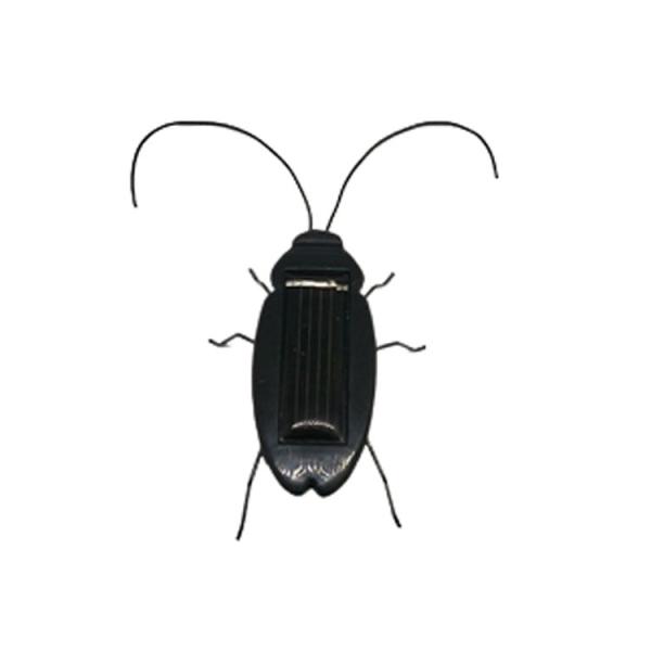 Quality Funny Solar Powered Cockroach Educational Product Toy Birthday Gift for sale