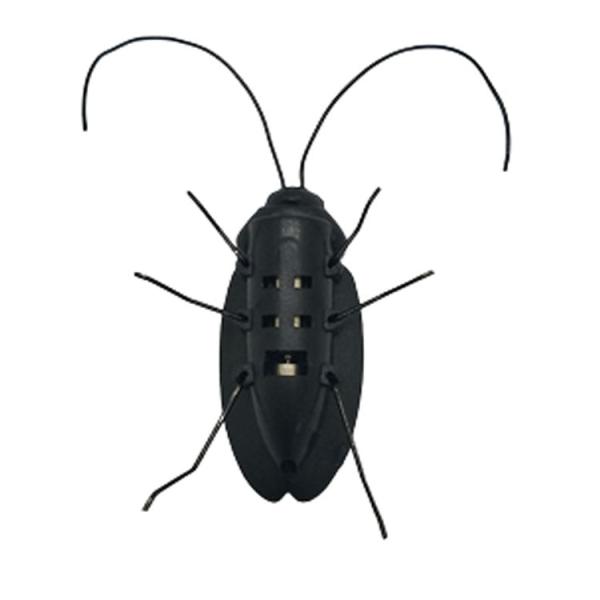 Quality Funny Solar Powered Cockroach Educational Product Toy Birthday Gift for sale