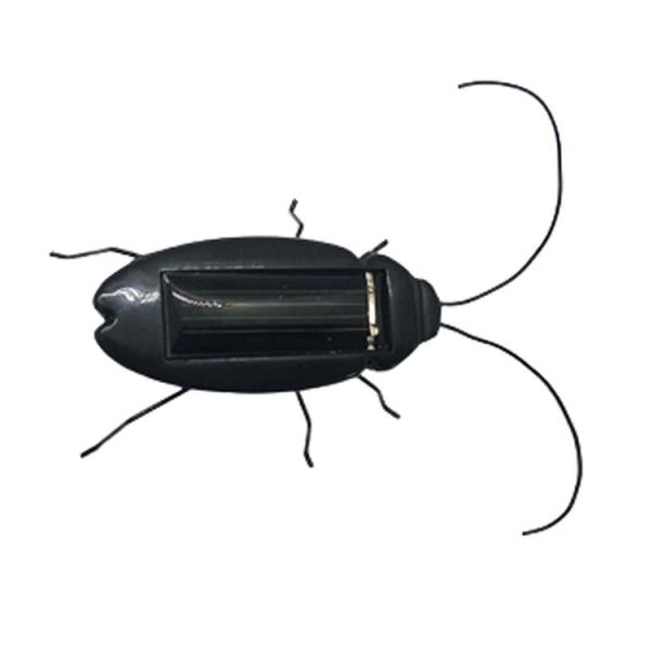 Quality Funny Solar Powered Cockroach Educational Product Toy Birthday Gift for sale