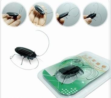 Quality Funny Solar Powered Cockroach Educational Product Toy Birthday Gift for sale