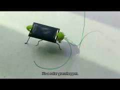 Abs Green Baby Toys Solar Powered Insect Toys Outdoor Kids Learning Solar Grasshopper