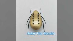 Solar Scarab Toy Educational Fun