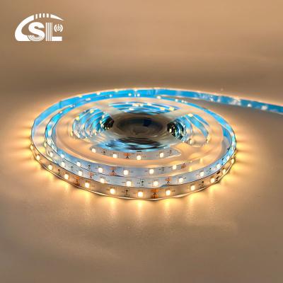 China 12V 60LEDs/m 2700K-3000K One Color SMD 2835 Warm White Led Backlight Strip Light for sale