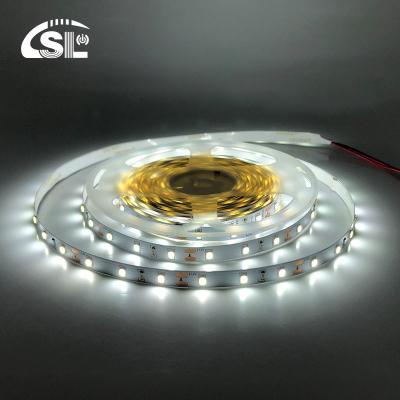 China 8mm10mm 60leds 6500K White Electroplate SMD2835 Led Strip Light for Indoor Decoration for sale