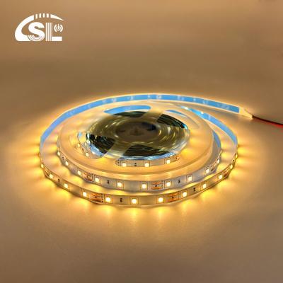 China Flexible DC12V24V 8mm10mm 60leds 3000K Warm White Die-Board SMD2835 for Hotel Lighting for sale
