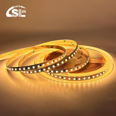 China 8mm 120leds 3000K Warm White Electroplate Board SMD2835 Led Strip Light for Indoor decoration DC12V24V for sale