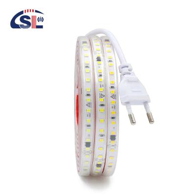 China 4000K High Brightness Electroplate 110v220v 10mm CE RoHs Ra80 SMD2835 Led Strip Light for sale