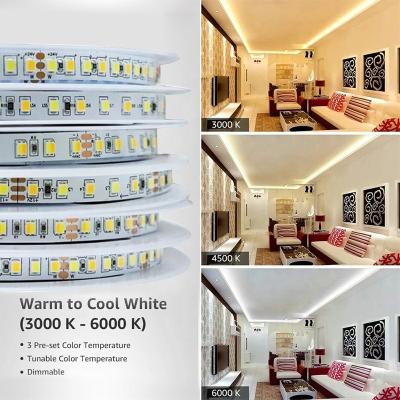 China DC12V/24V 10mm 240led 2835 SMD LED Strips Cuttable Flexible Light Strip with Dimmer for sale